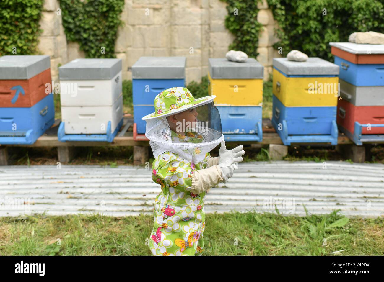 Child bee suit hi-res stock photography and images - Alamy
