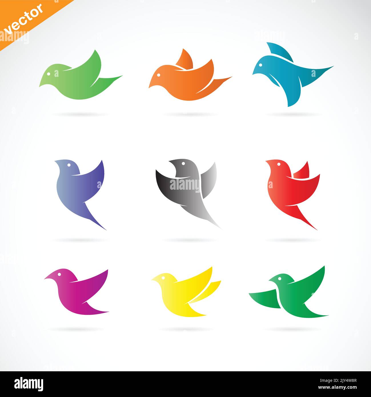 Vector group of colorful bird on white background. Easy editable ...