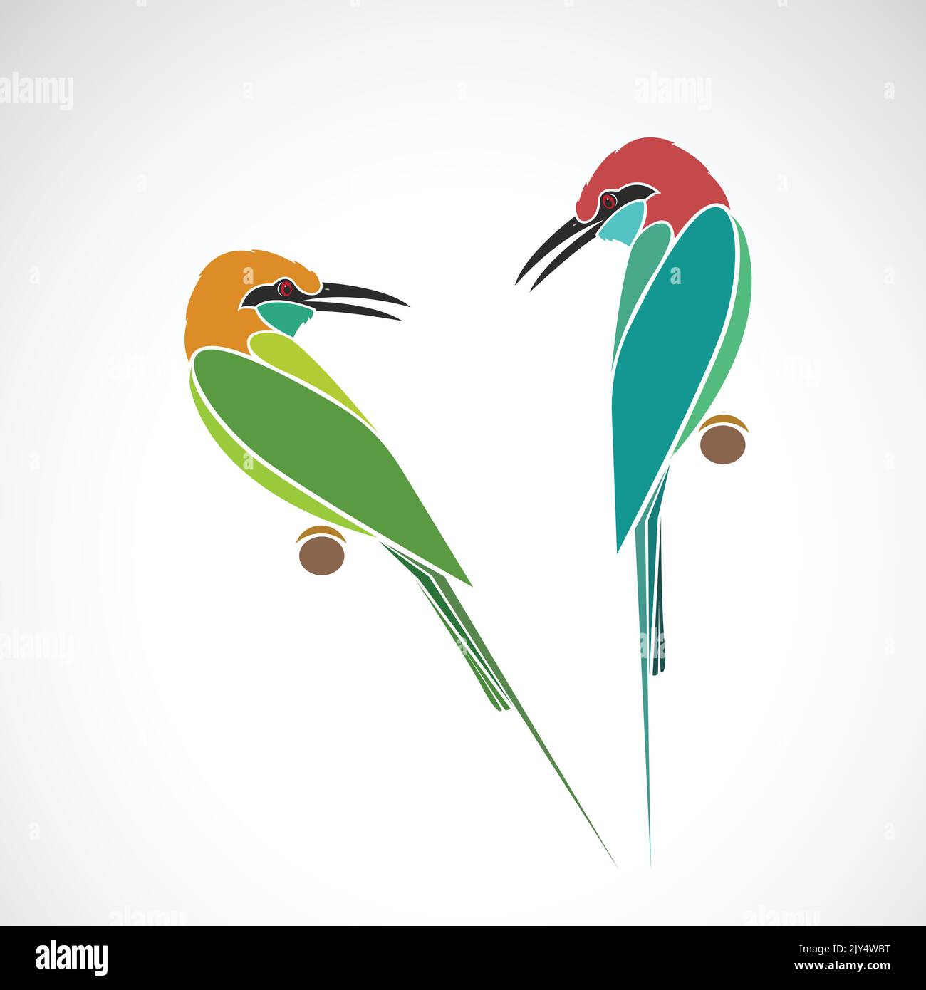Green Bee eater and Blue throated Bee eater on white background. Birds ...