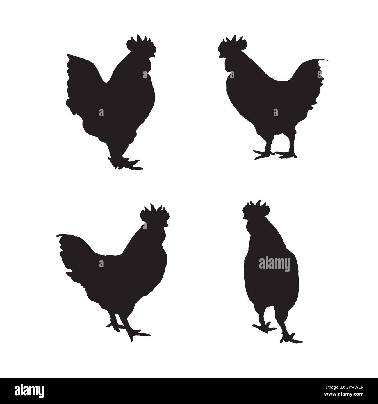 Vector image of chicken on a white background. Easy editable layered ...