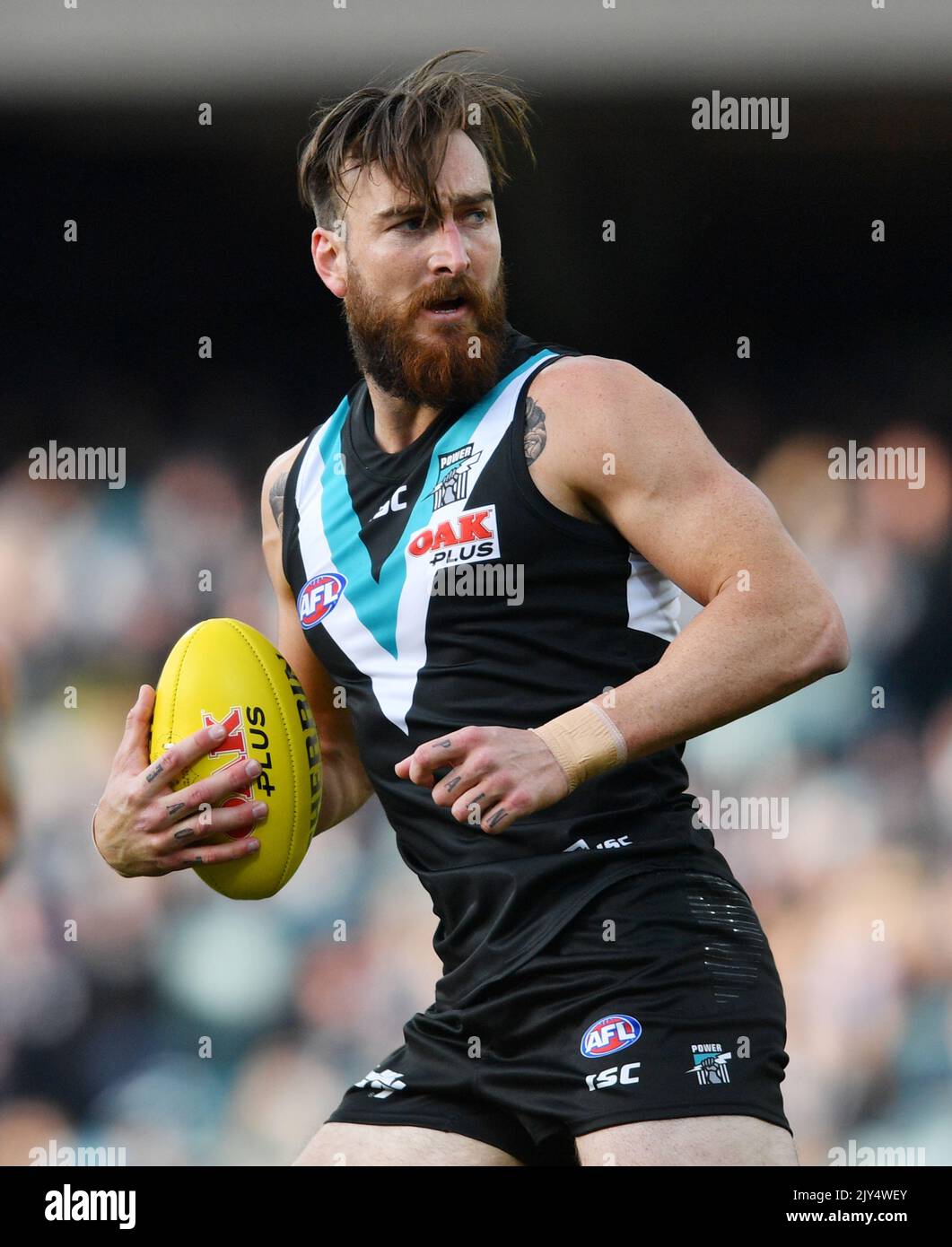 Charlie Dixon of the Power during the Round 23 AFL match between the ...