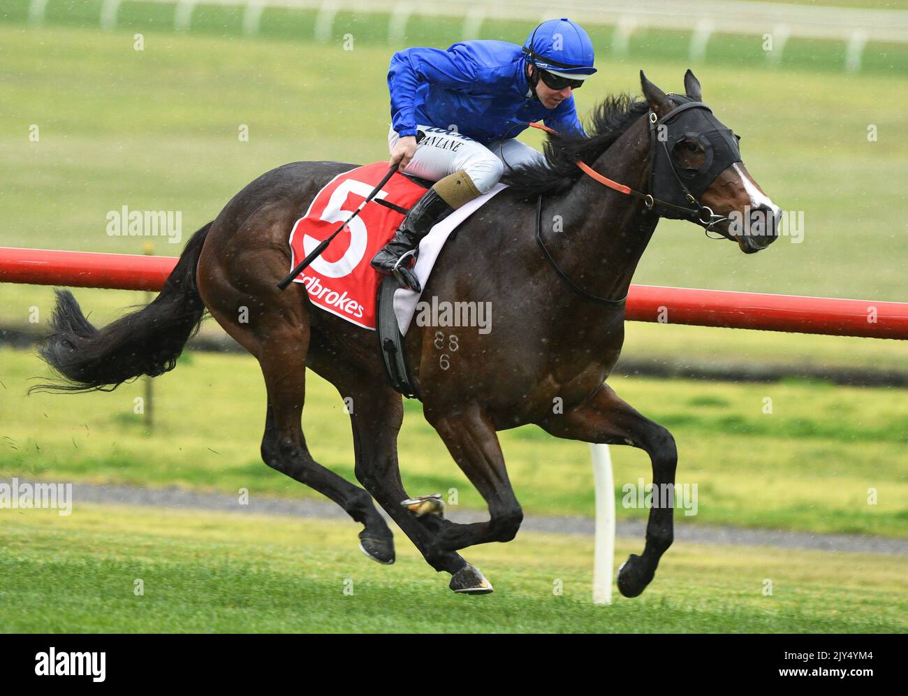 Jockey Damian Lane rides Hilo to victory in Race 1, the Ladbrokes Odds ...