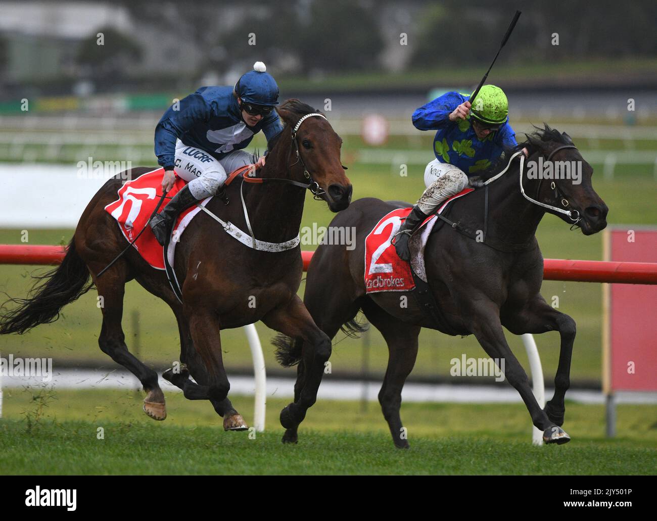 Jockey Chelsea MacFarlane rides Lady Loft to victory in Race 7, the ...