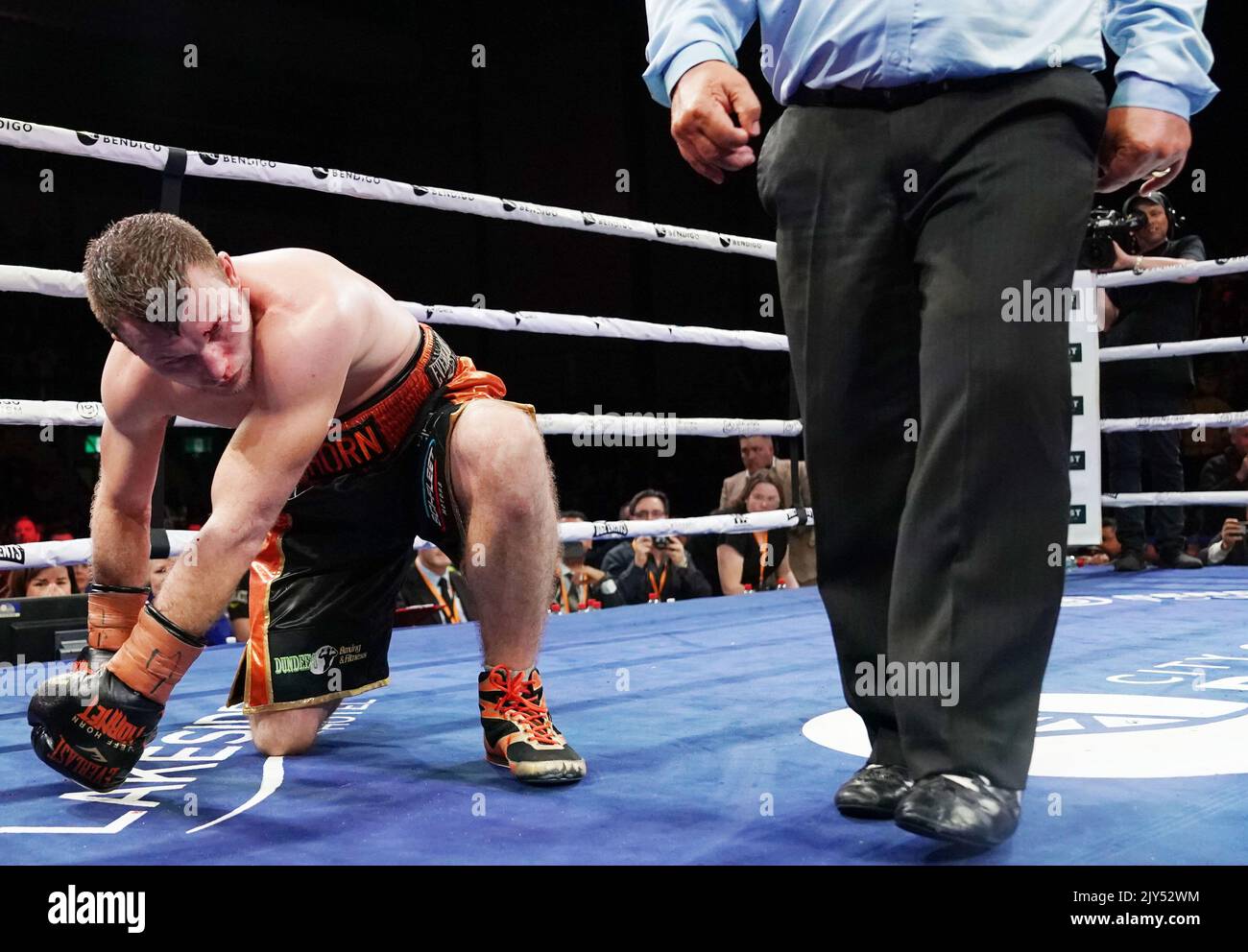 Australian boxers Jeff Horn hits the deck against Michael Zerafa ...