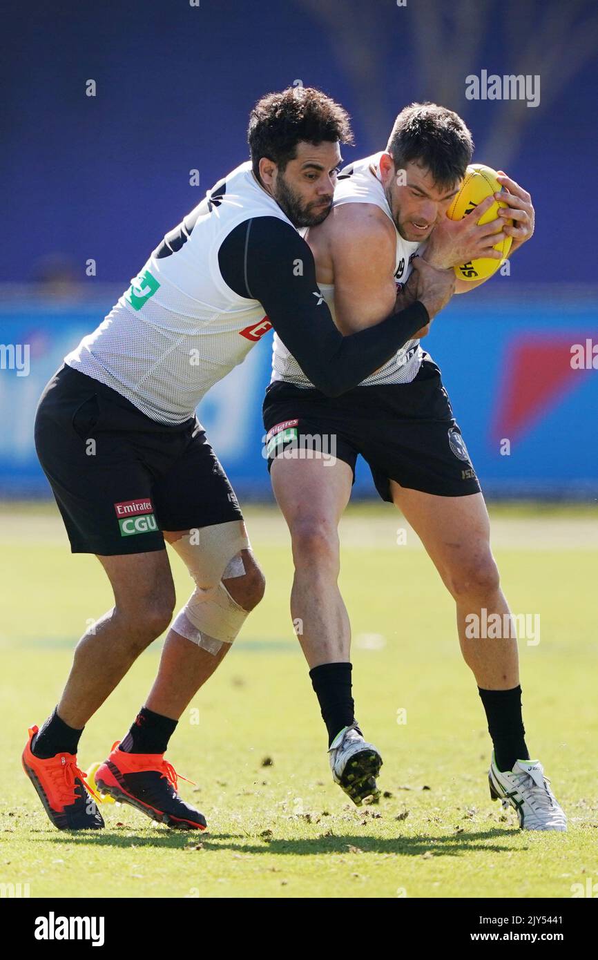 Daniel Wells tackles Levi Greenwood during a Collingwood training ...