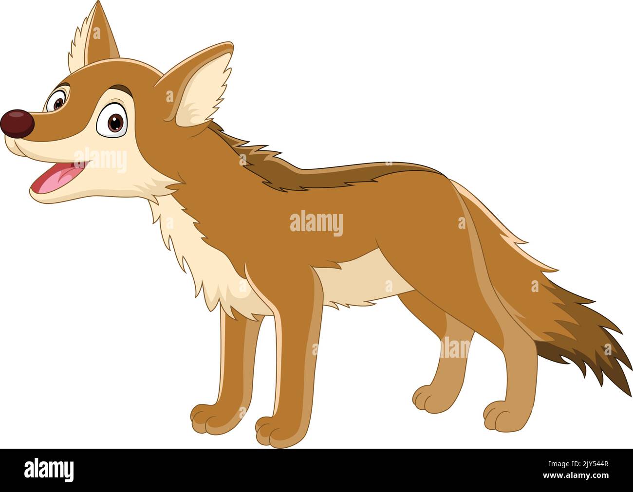 Cartoon brown wolf on white background Stock Vector Image & Art - Alamy