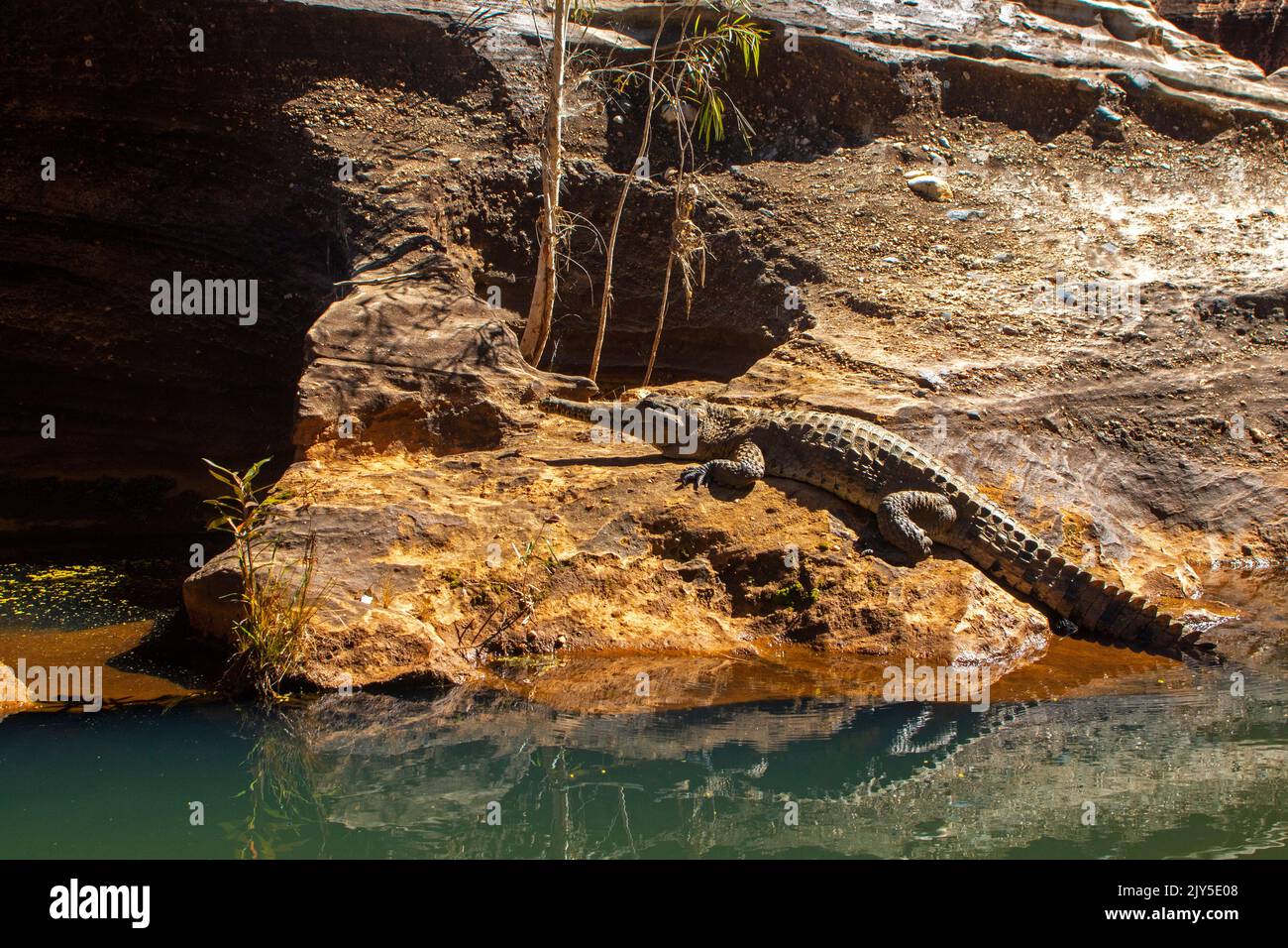 Crocodile gorge hi-res stock photography and images - Alamy