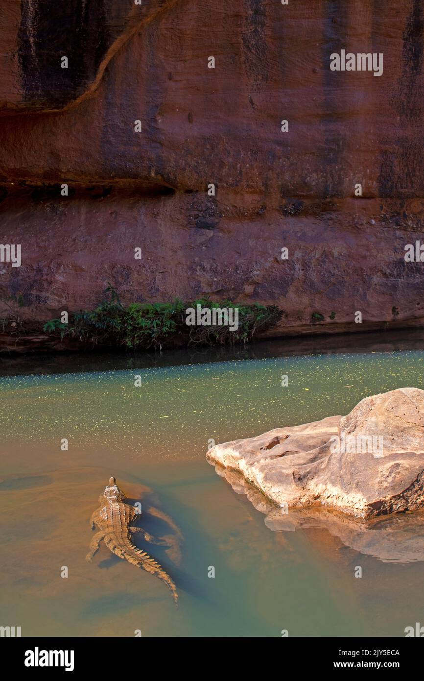 Cobbold gorge outback queensland hi-res stock photography and images ...