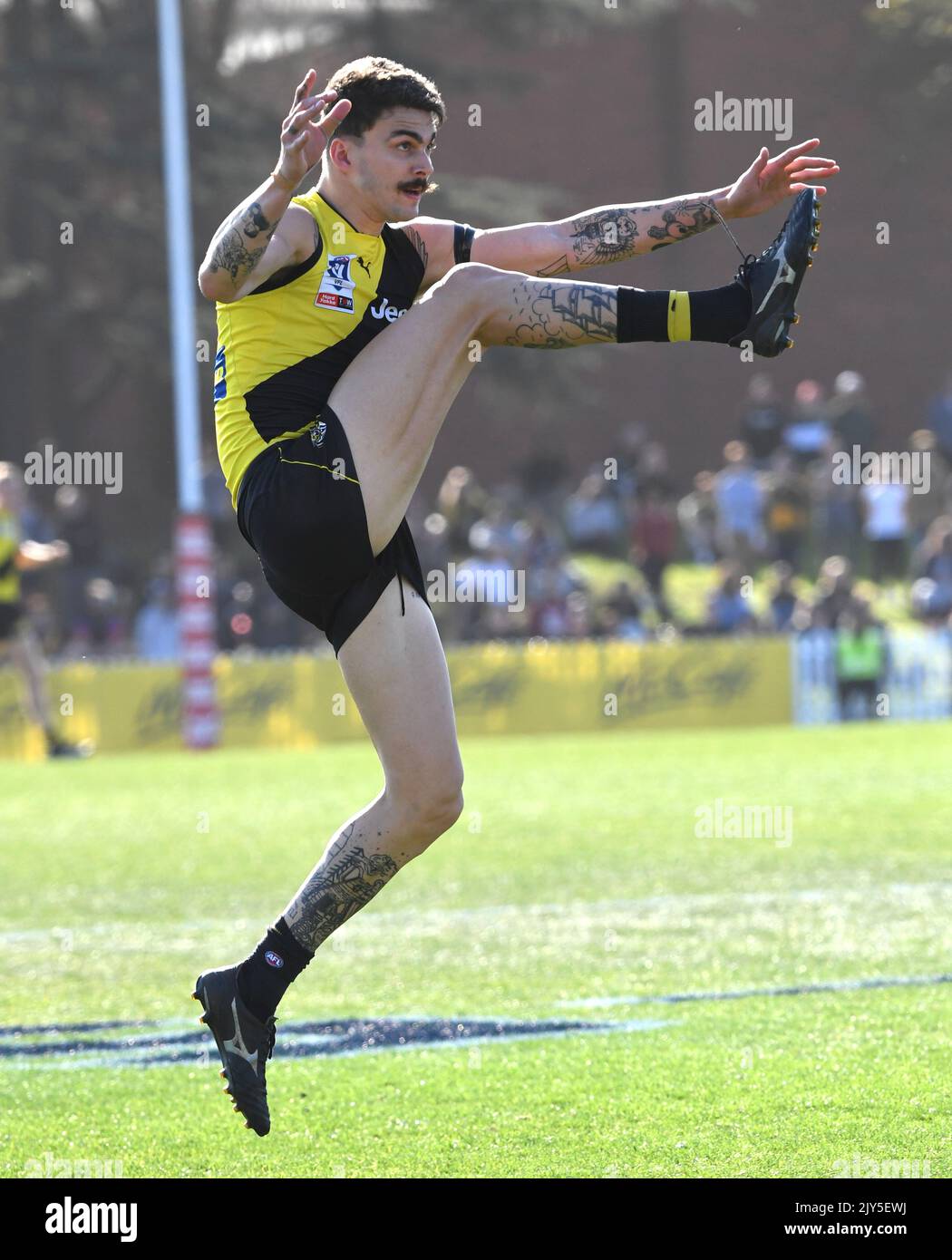 Oleg Markov of the Tigers is seen in action during the VFL Preliminary ...