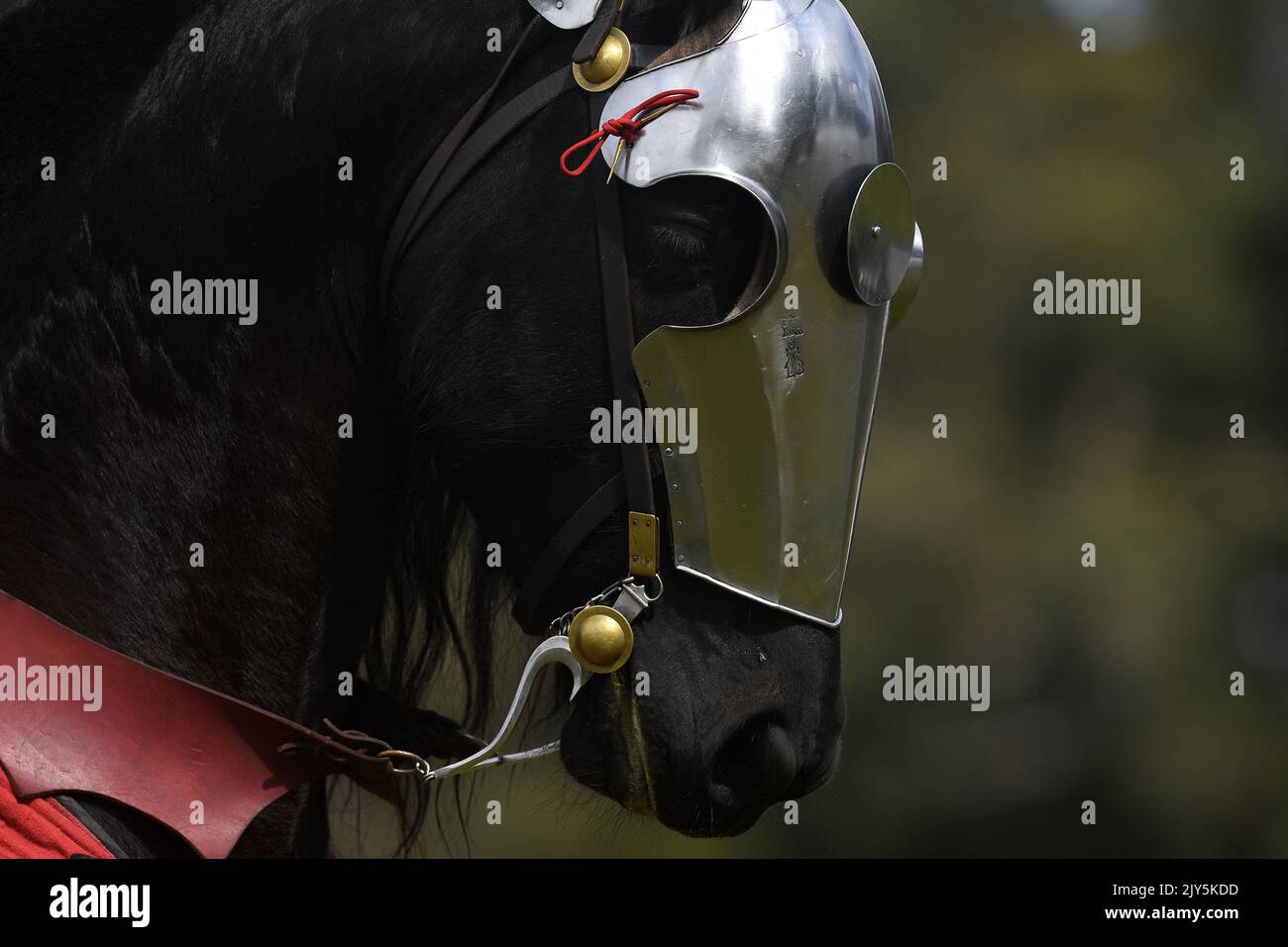 Jousting horse Valiant is seen during a media preview of the St Ives ...