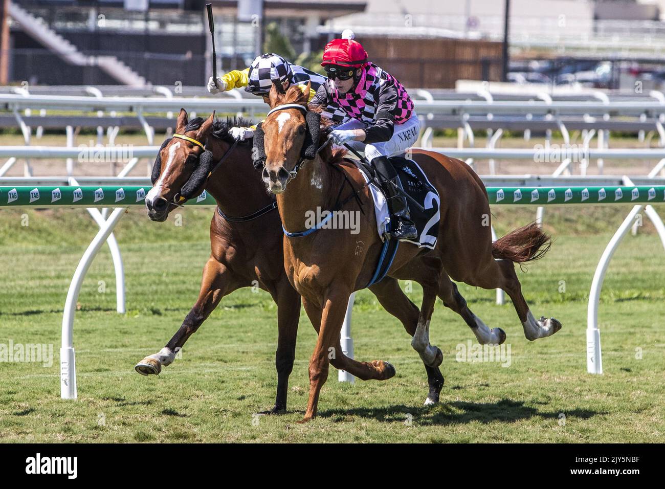 Nick Keal rides Guntantes to victory during race 3, the Dave Hickey 30 ...