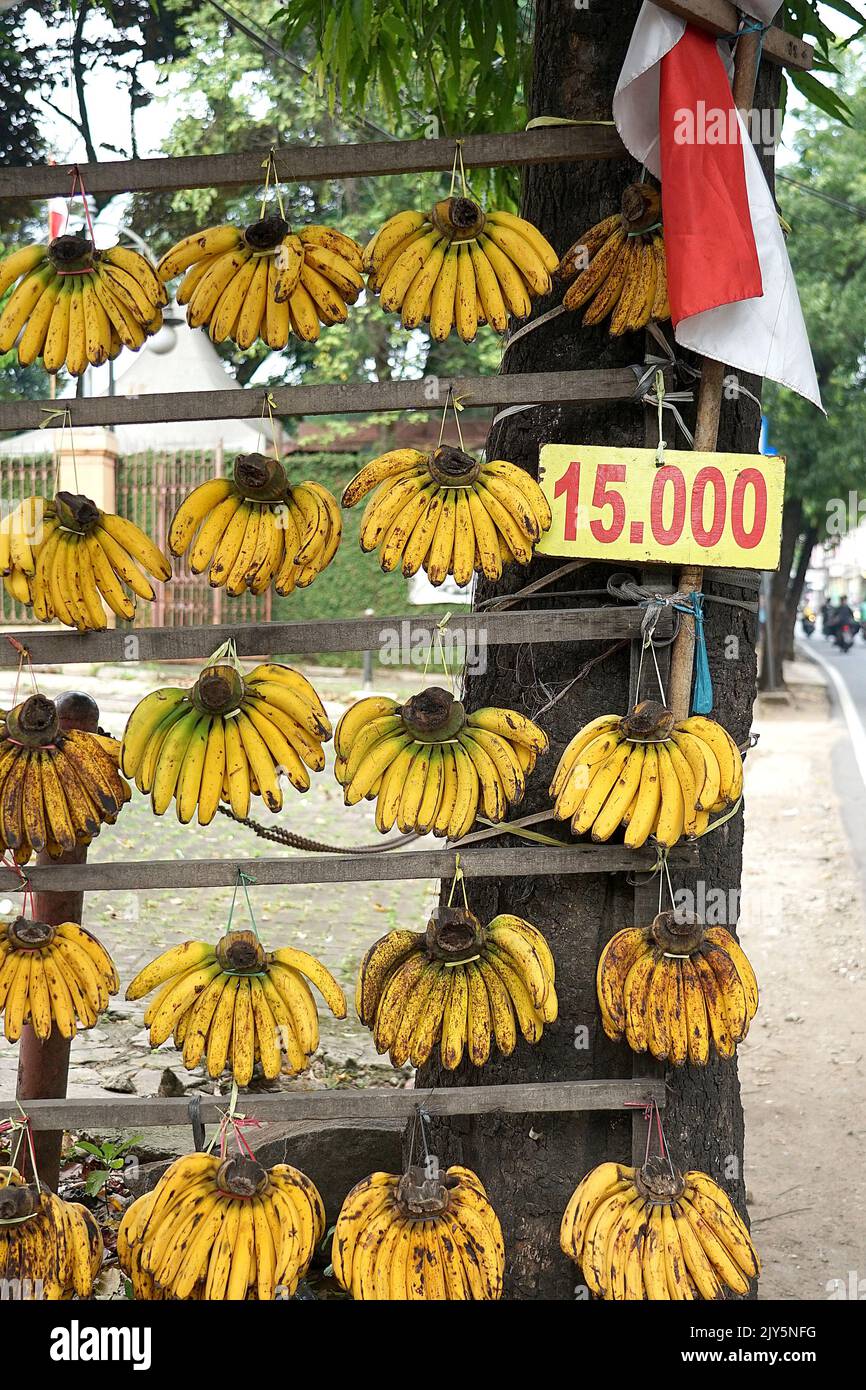 selling banana fruit, in the street market, at Jakarta, Indonesia Stock ...