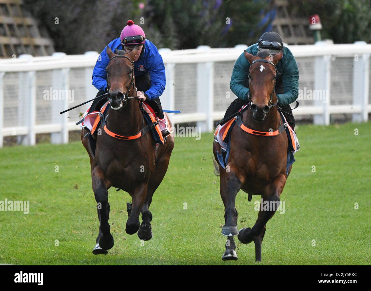 Jockey Luke Currie rides Sunlight (L) during a trackwork session at ...