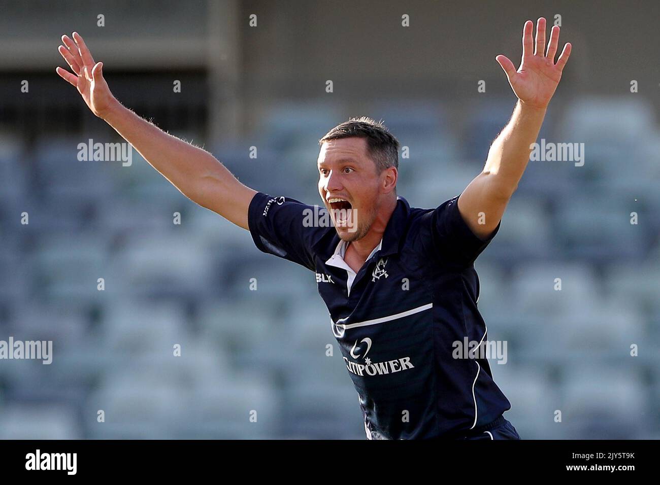Chris Tremain of Victoria makes a succesful appeal for the wicket of ...