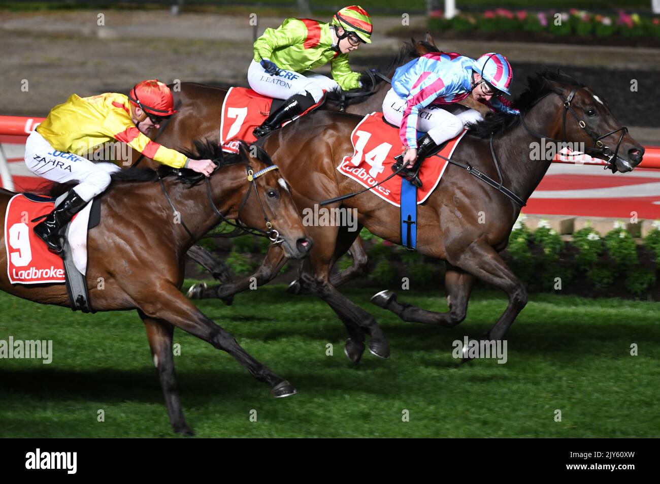 Jockey Linda Meech rides Lagerfeld to victory in race 8, the Pro Star ...