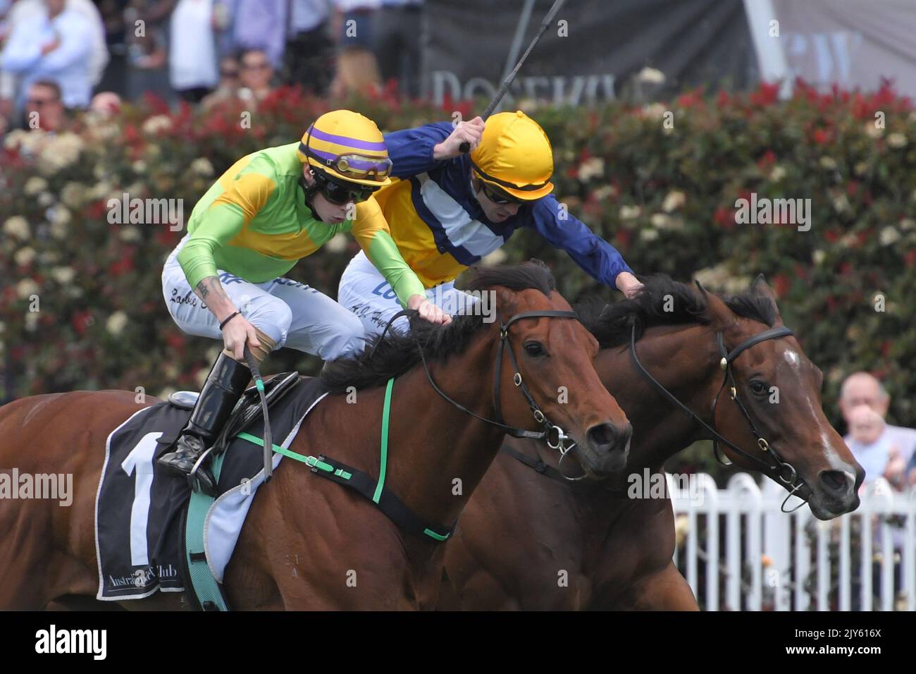 Jockey Robbie Dolan rides Dr Drill to victory in race 1, the Monster ...