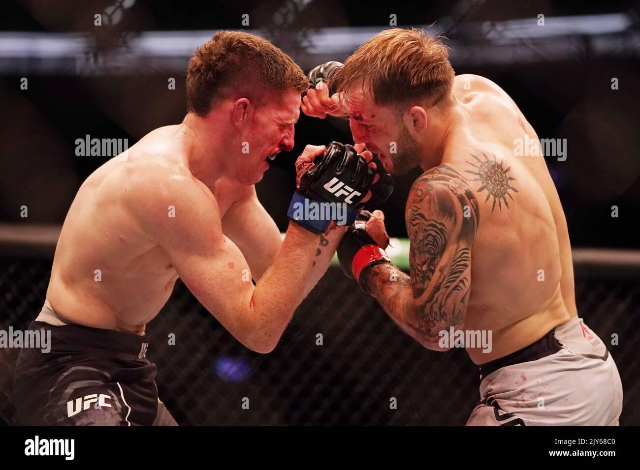 Brad Riddell and Jamie Mullarkey compete during UFC 243 at Marvel ...