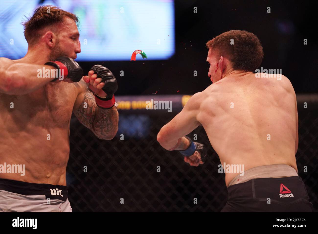 Brad Riddell knocks out the mouth guard of Jamie Mullarkey as they ...