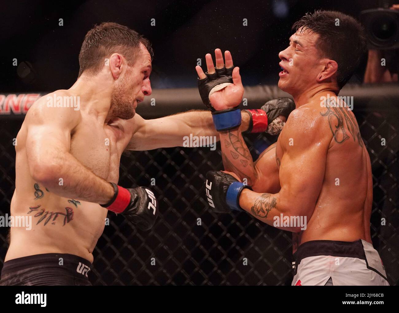 Callan Potter and Maki Pitolo compete during UFC 243 at Marvel Stadium ...
