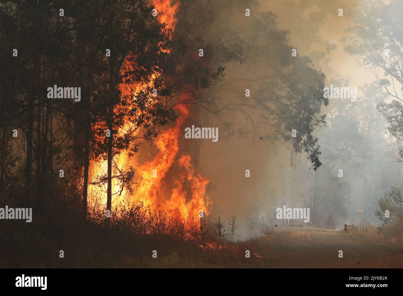 Firefighters battle bushfires in Busbys Flat, northern NSW, Wednesday ...