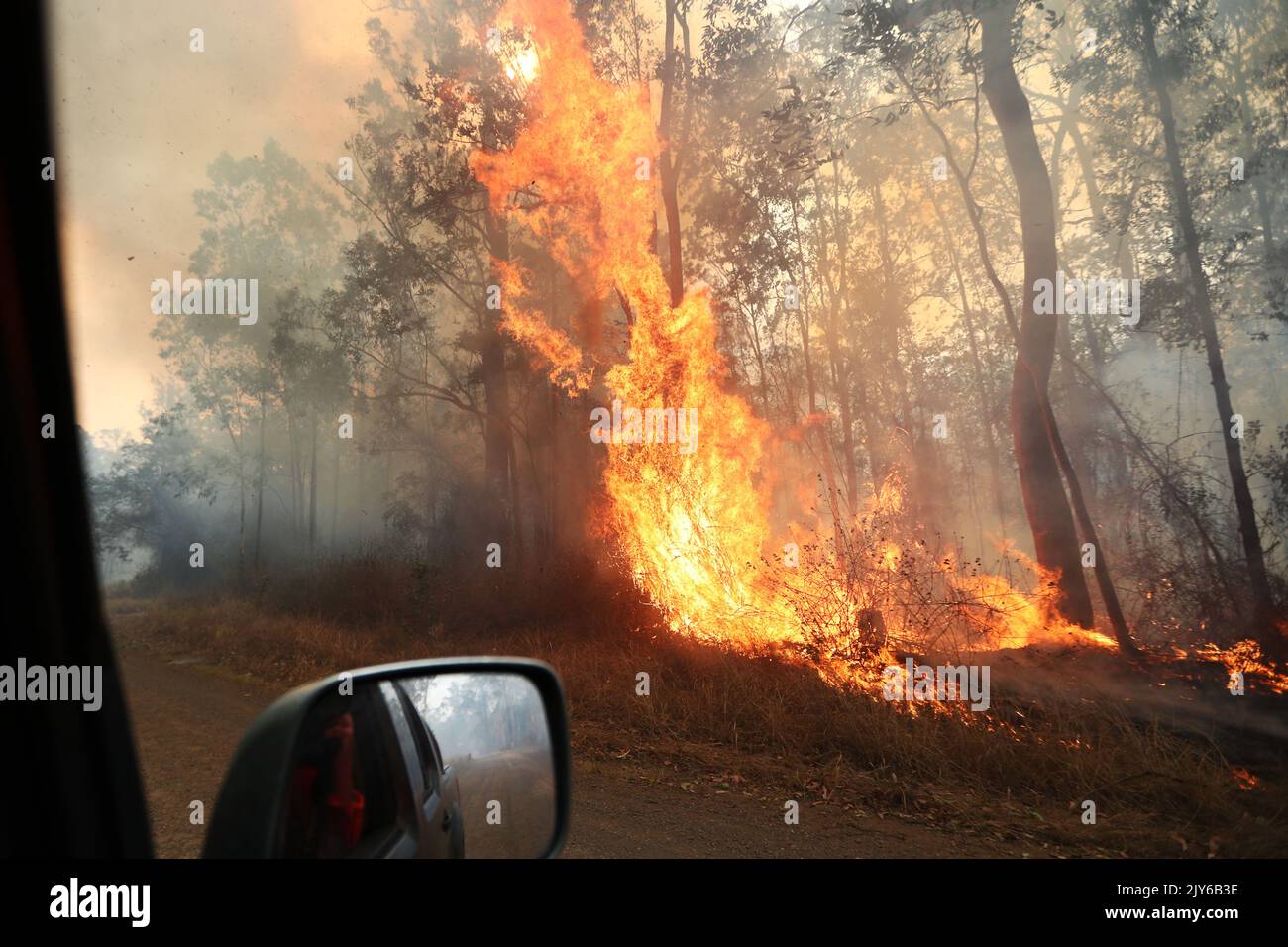 Firefighters battle bushfires in Busbys Flat, northern NSW, Wednesday ...