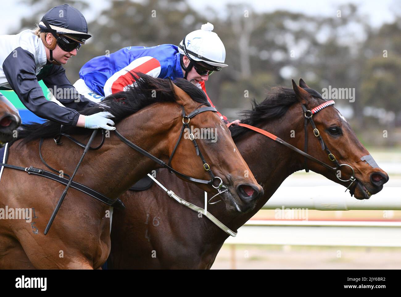 Jockey Damien Thornton rides Mister Jay to victory from jockey Jamie ...
