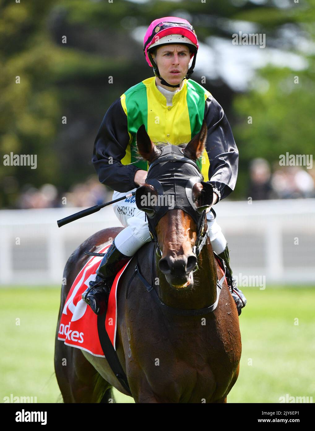 Jockey Damian Lane returns to scale after riding The Chosen One to ...