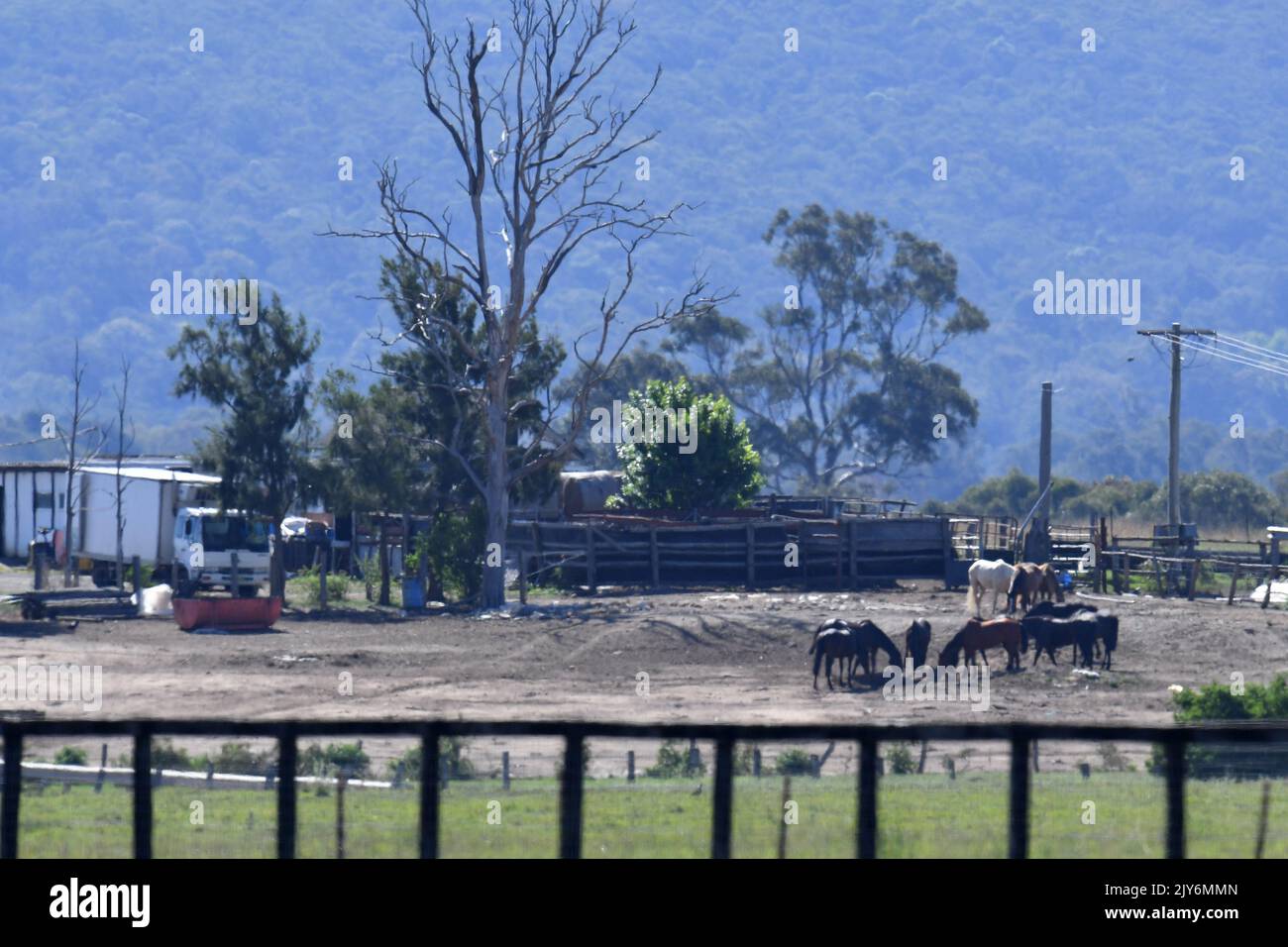 Horses can be seen in a paddock at Luddenham Pet Meat in the western ...