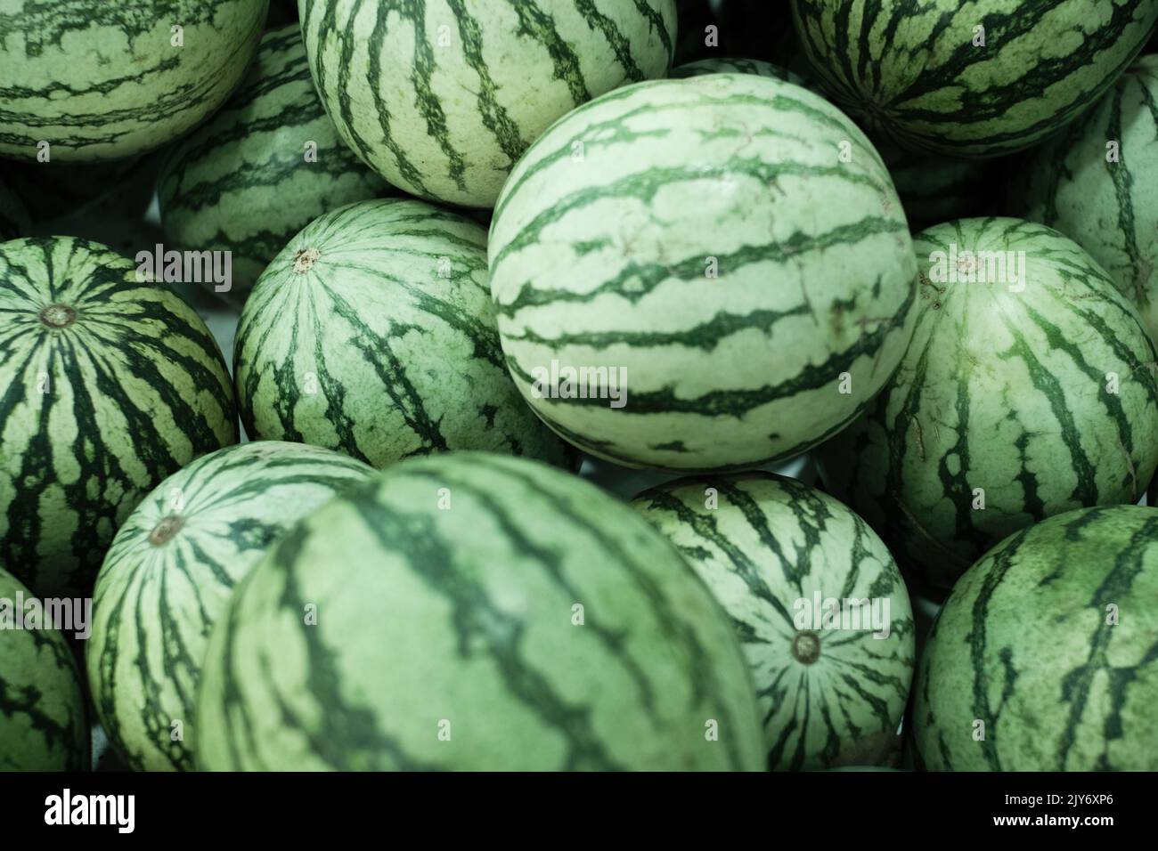 Watermelons for sale at Paddy’s Fresh Food Market in Flemington ...