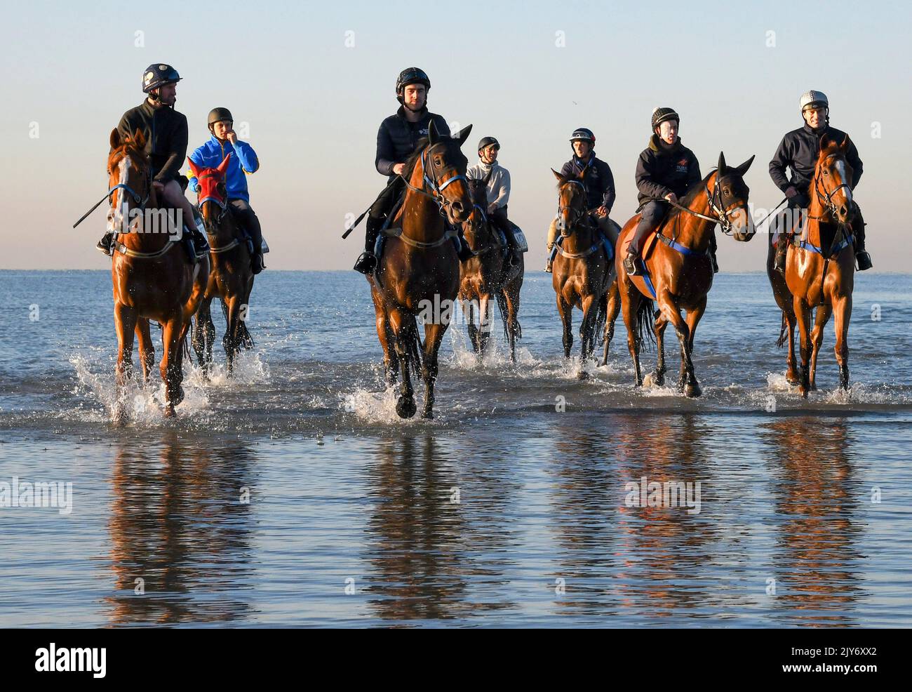 (L-R) Spring Carnival contenders, Warning, Danon Roman, Groundswell ...