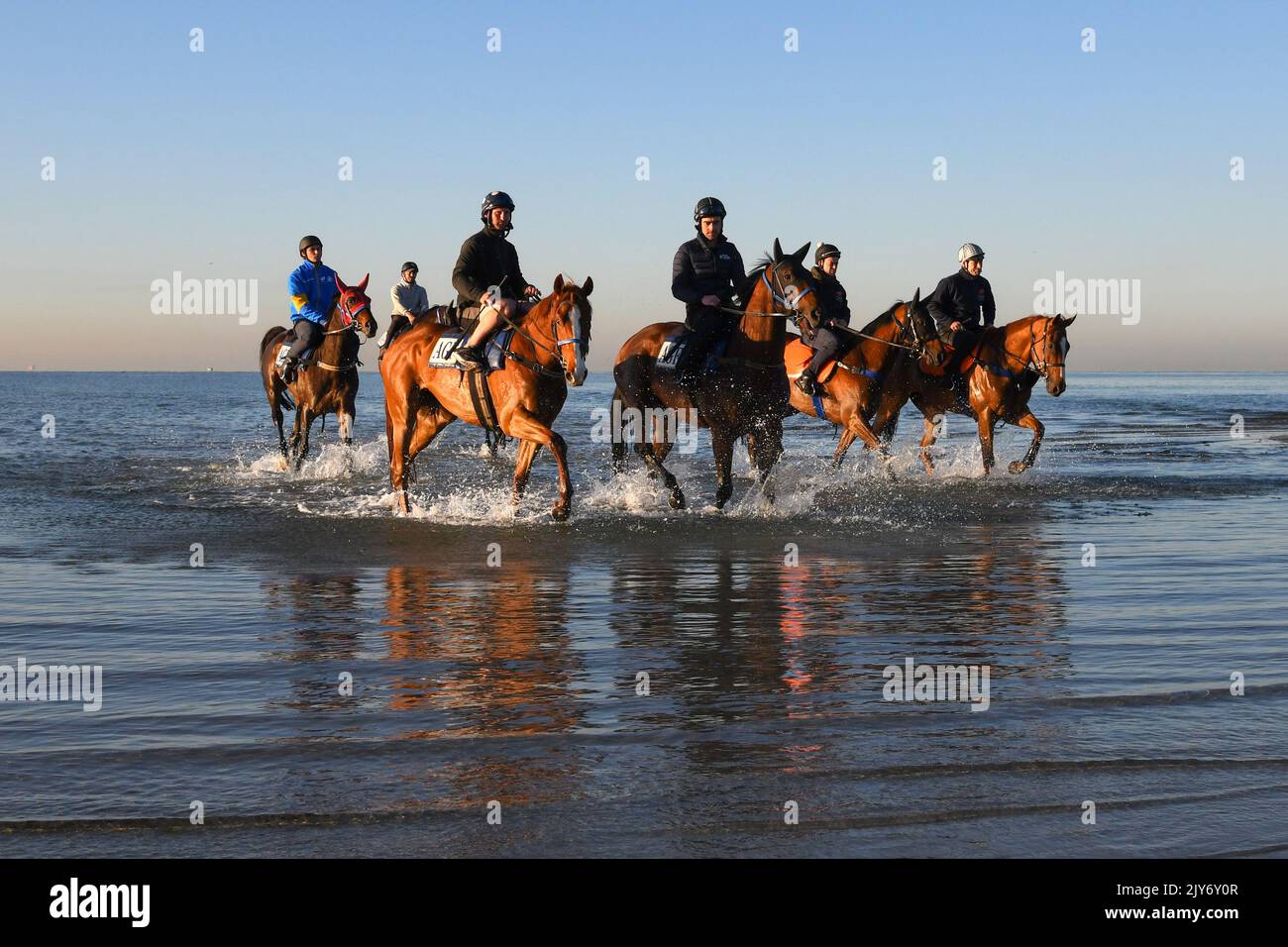 (L-R) Spring Carnival contenders, Danon Roman, Plein Ciel, Warning ...