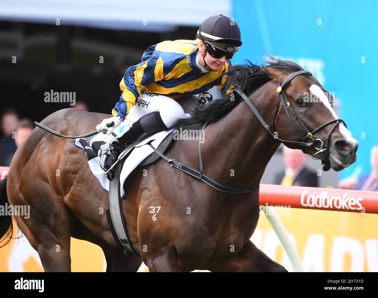 Jockey Jamie Kah rides Sartorial Splendor to victory in race 5, the ...