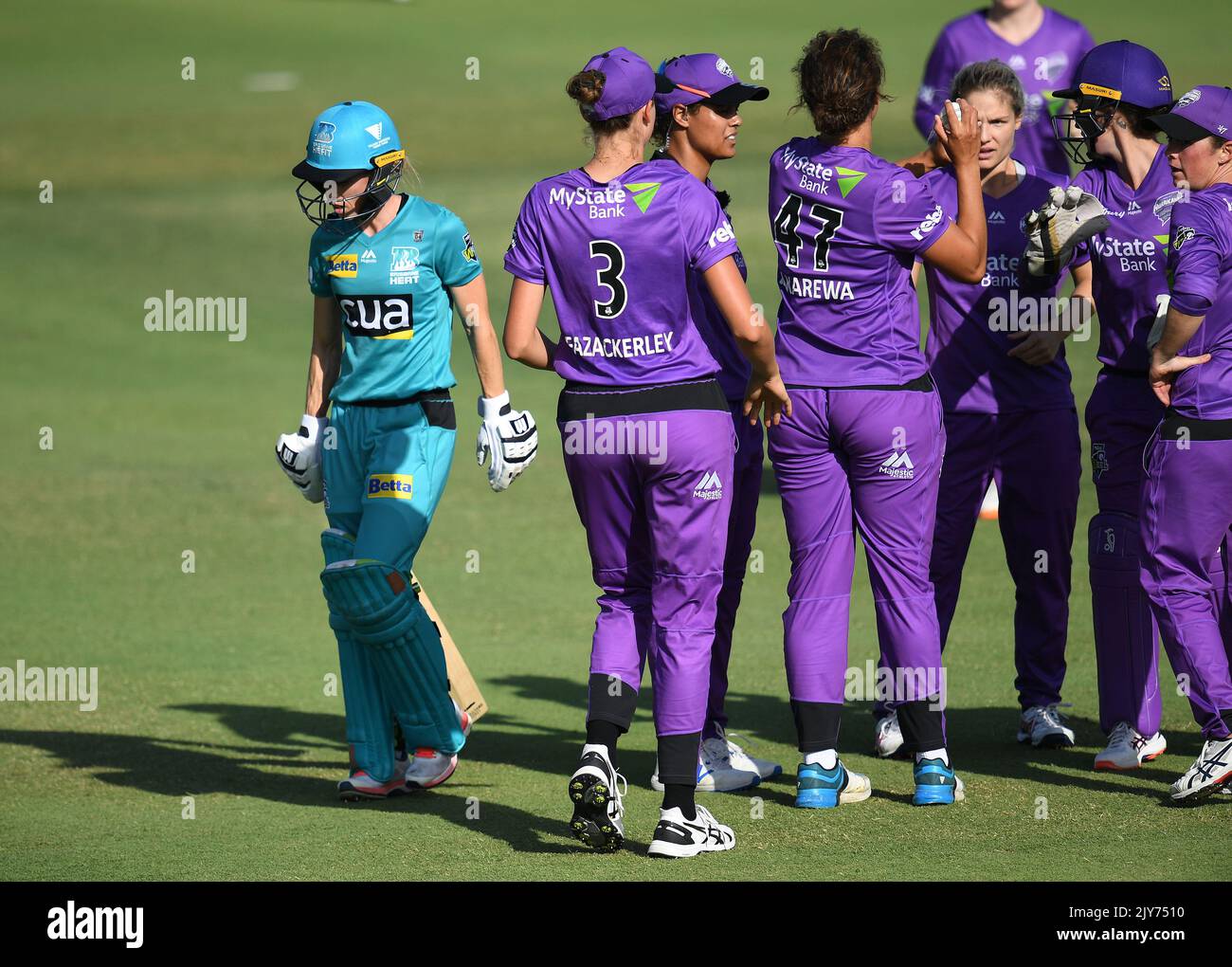 Hurricane players celebrate the wicket of Kirby Short of the Heat (left ...