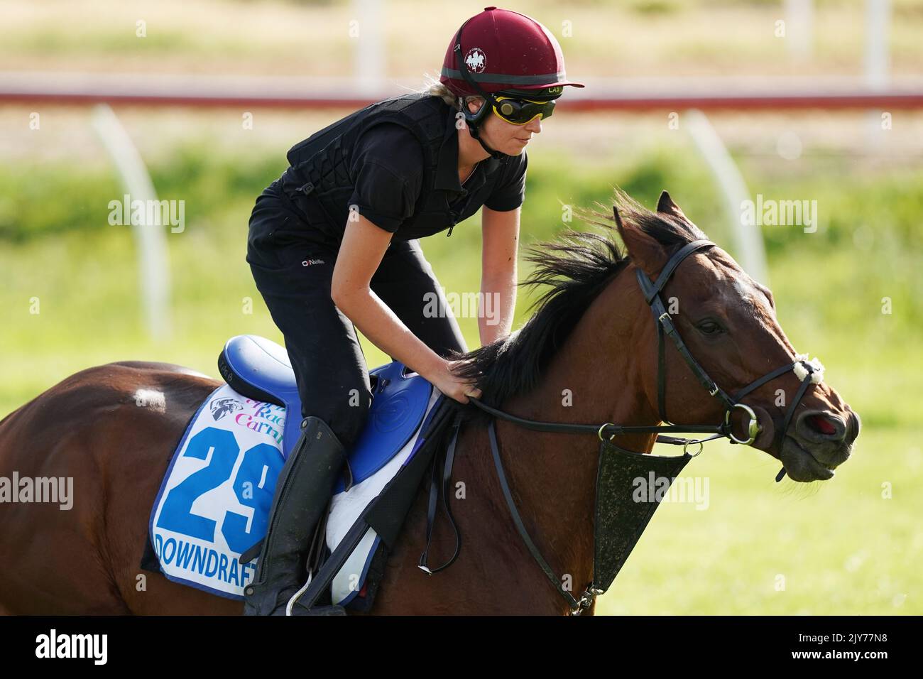 Downdraft is seen during a trackwork session at the Werribee ...