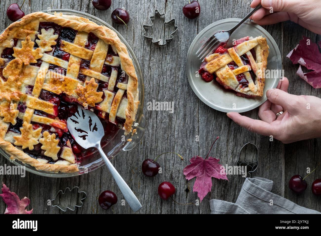 Hands holding a slice of freshly baked cherry pie with the pie to the ...