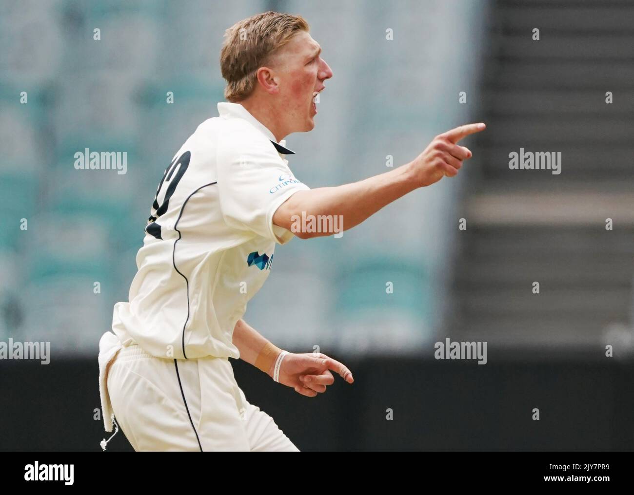 Will Sutherland of Victoria celebrates the wicket of Bryce Street of ...