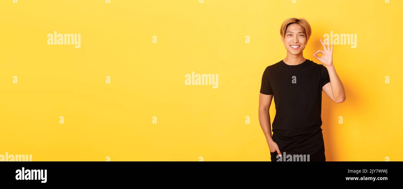 Portrait of satisfied and happy asian smiling guy, showing okay gesture ...