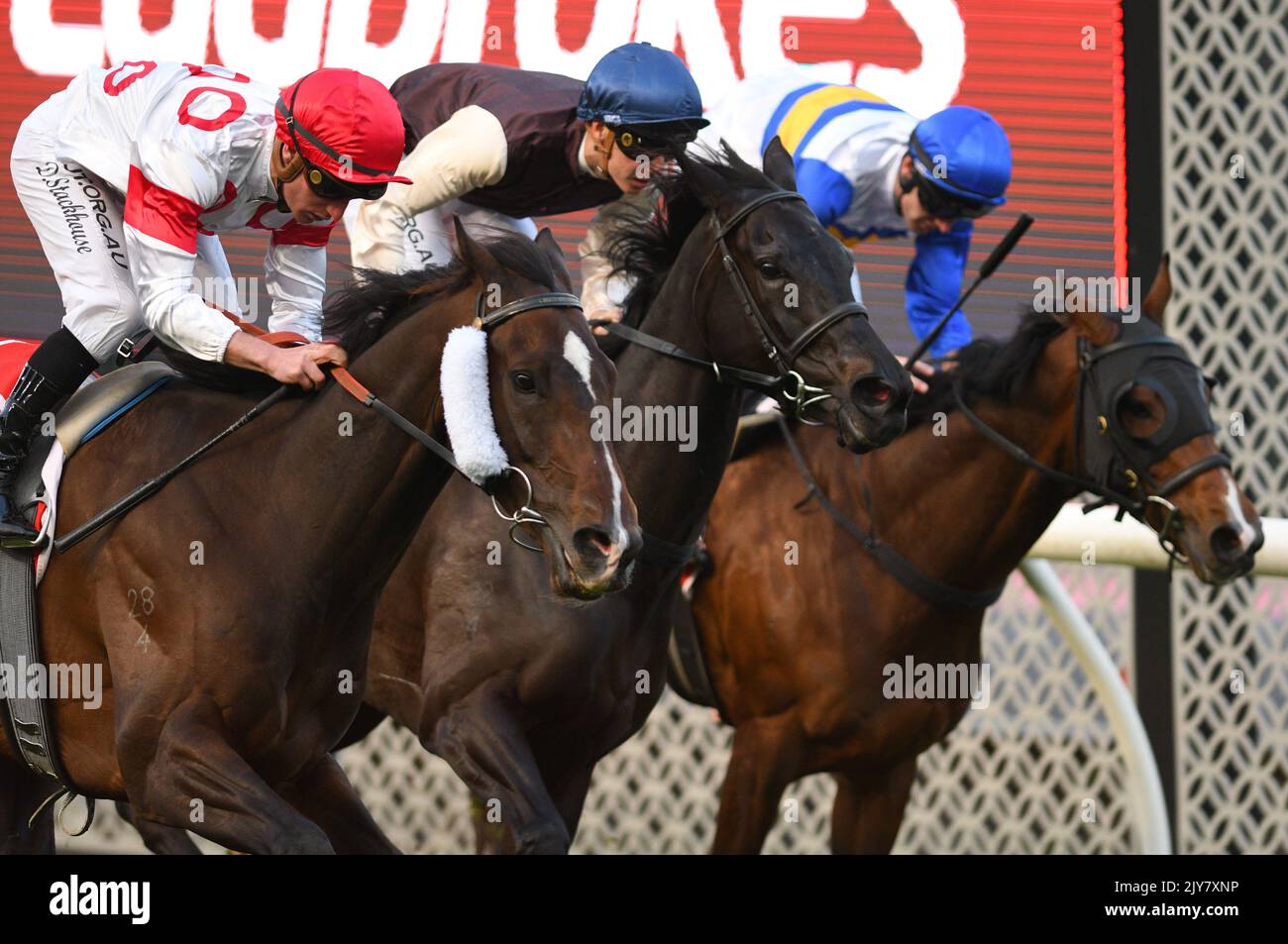 Jockey Daniel Stackhouse rides Annunciate to victory in race 3, BM70 ...