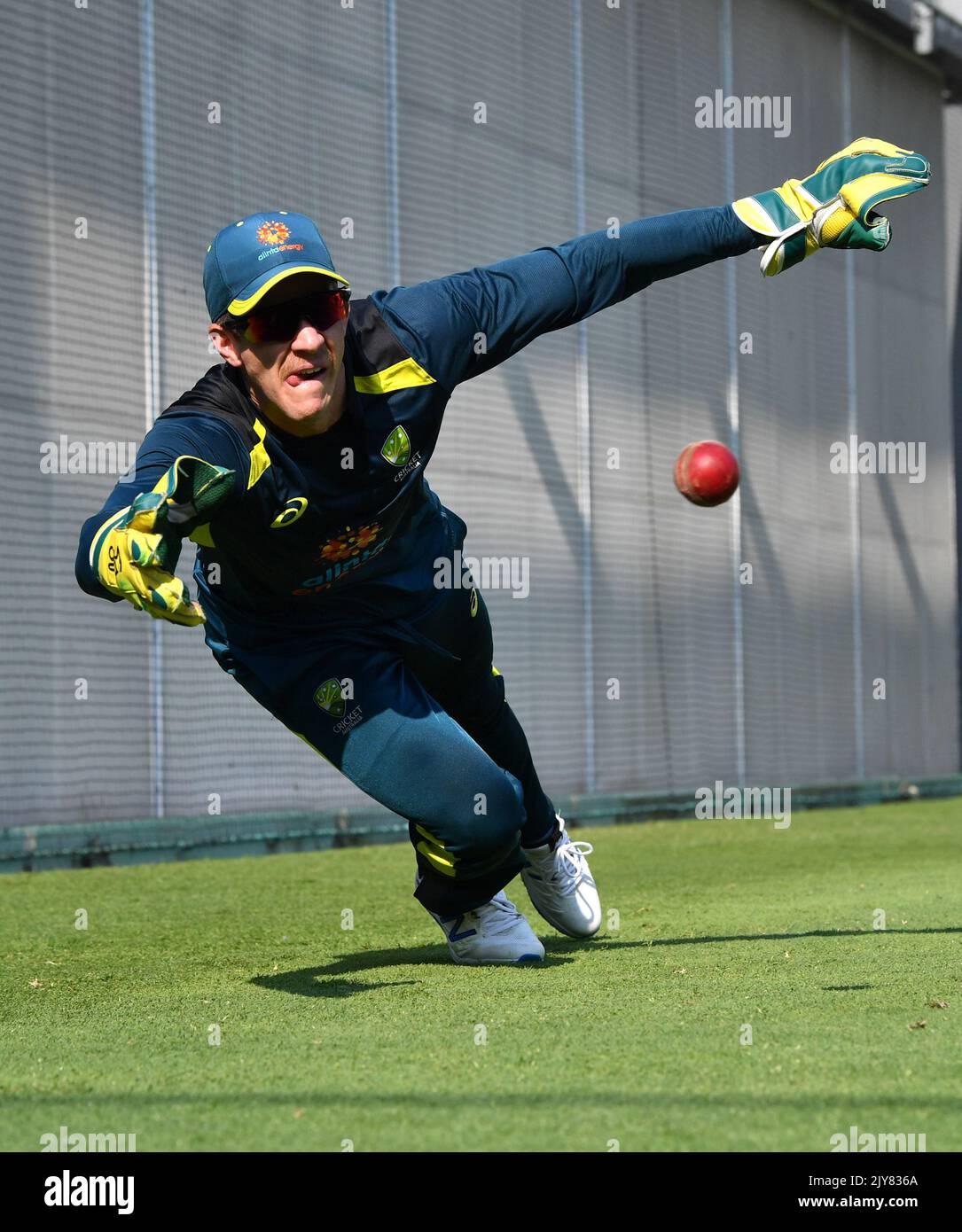 Tim Paine in action during the Australian Men's cricket team training ...