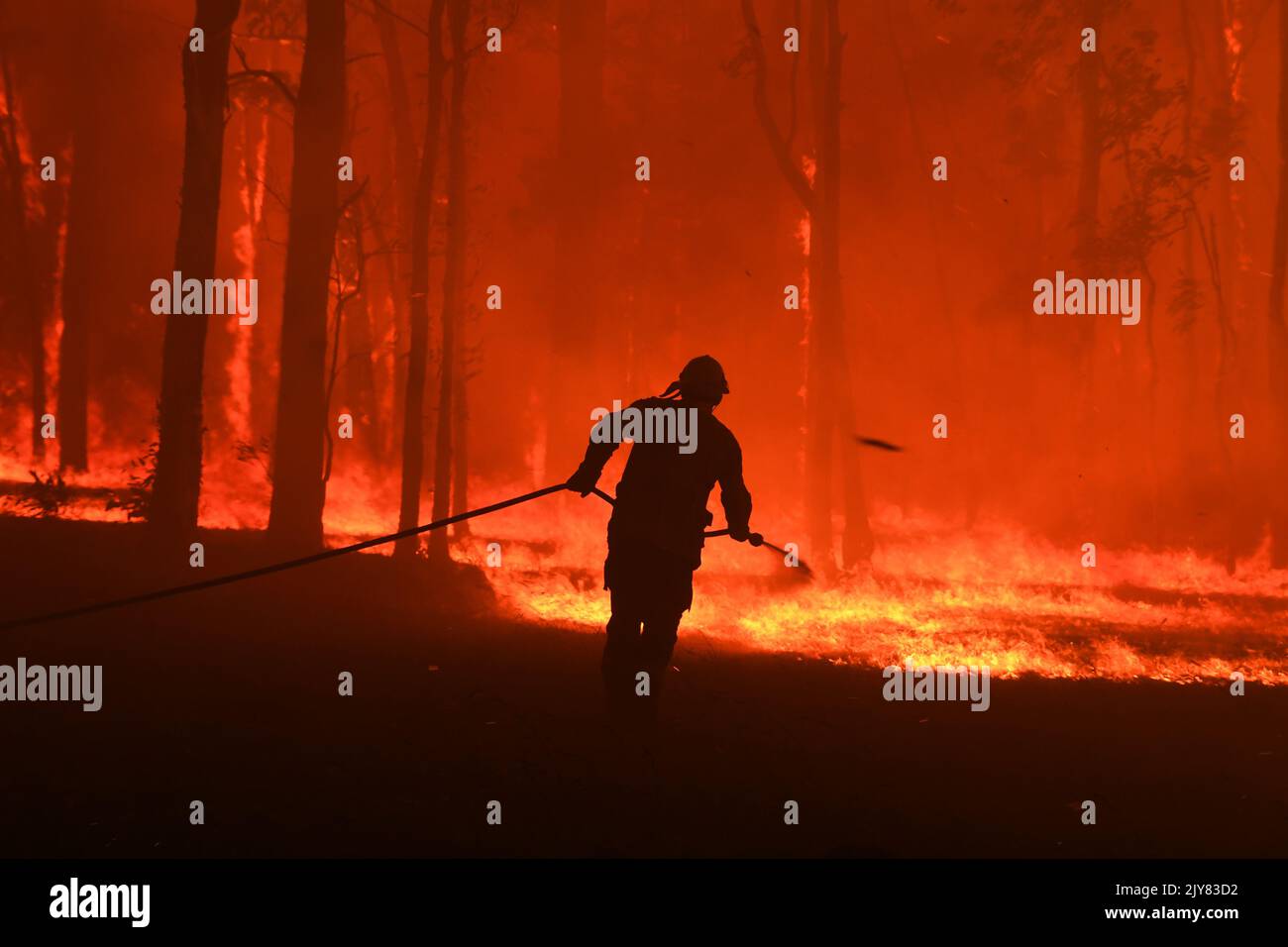 RFS volunteers and NSW Fire and Rescue officers protect a home on ...