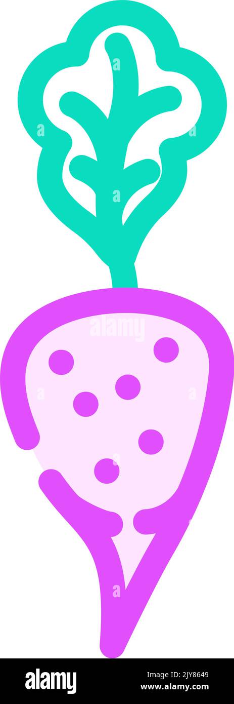 purple radish color icon vector illustration Stock Vector Image & Art ...