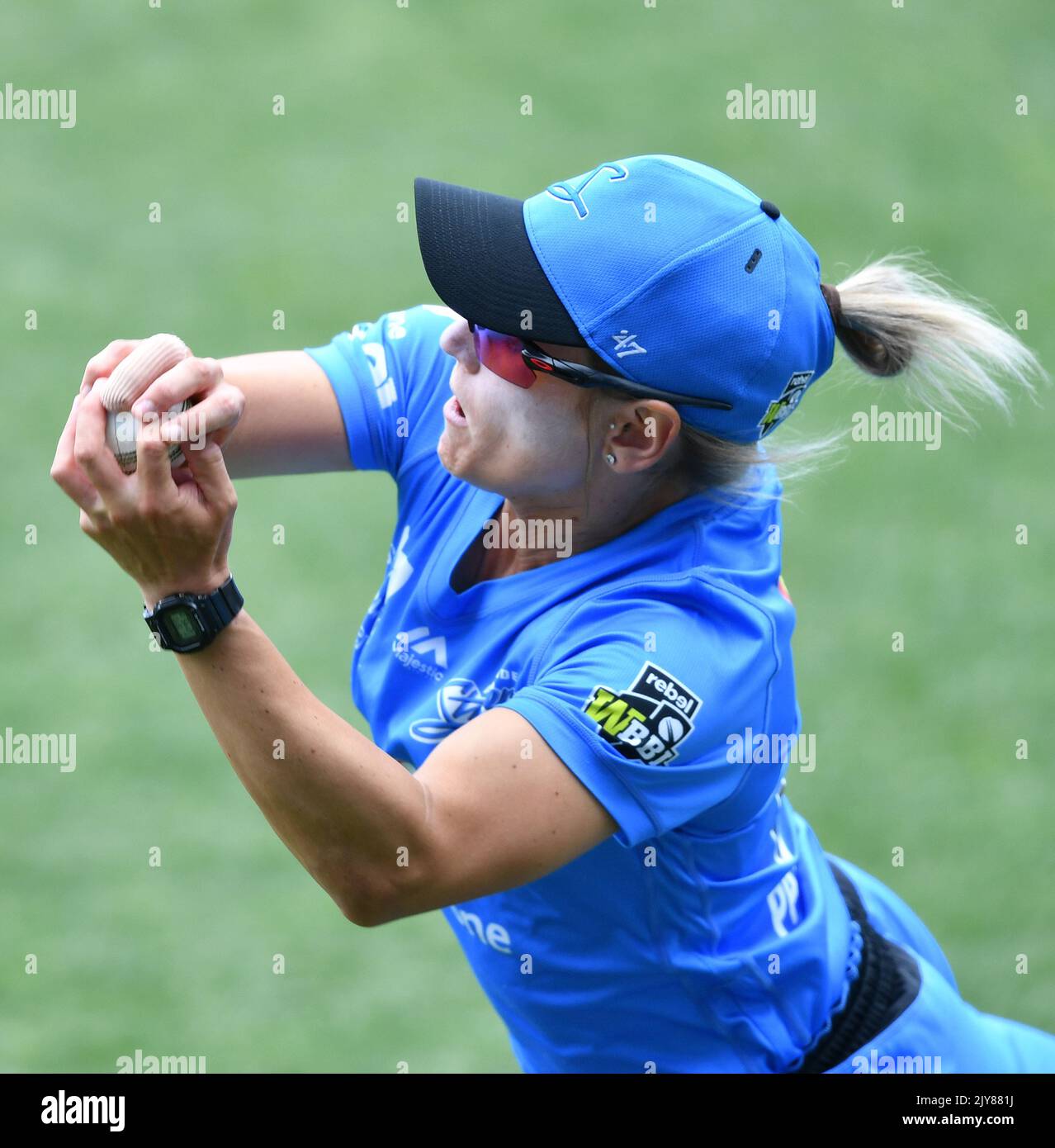 Bridget Patterson of the Adelaide Strikers catches Rachael Haynes of ...