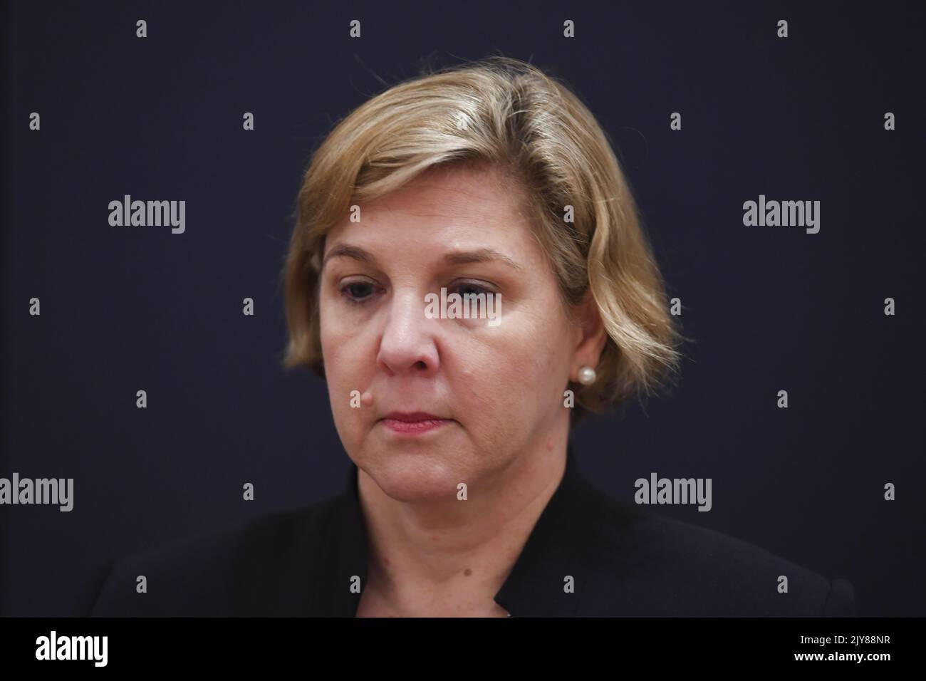 Tesla Board Chair Robyn Denholm attends a meeting of the Industry ...