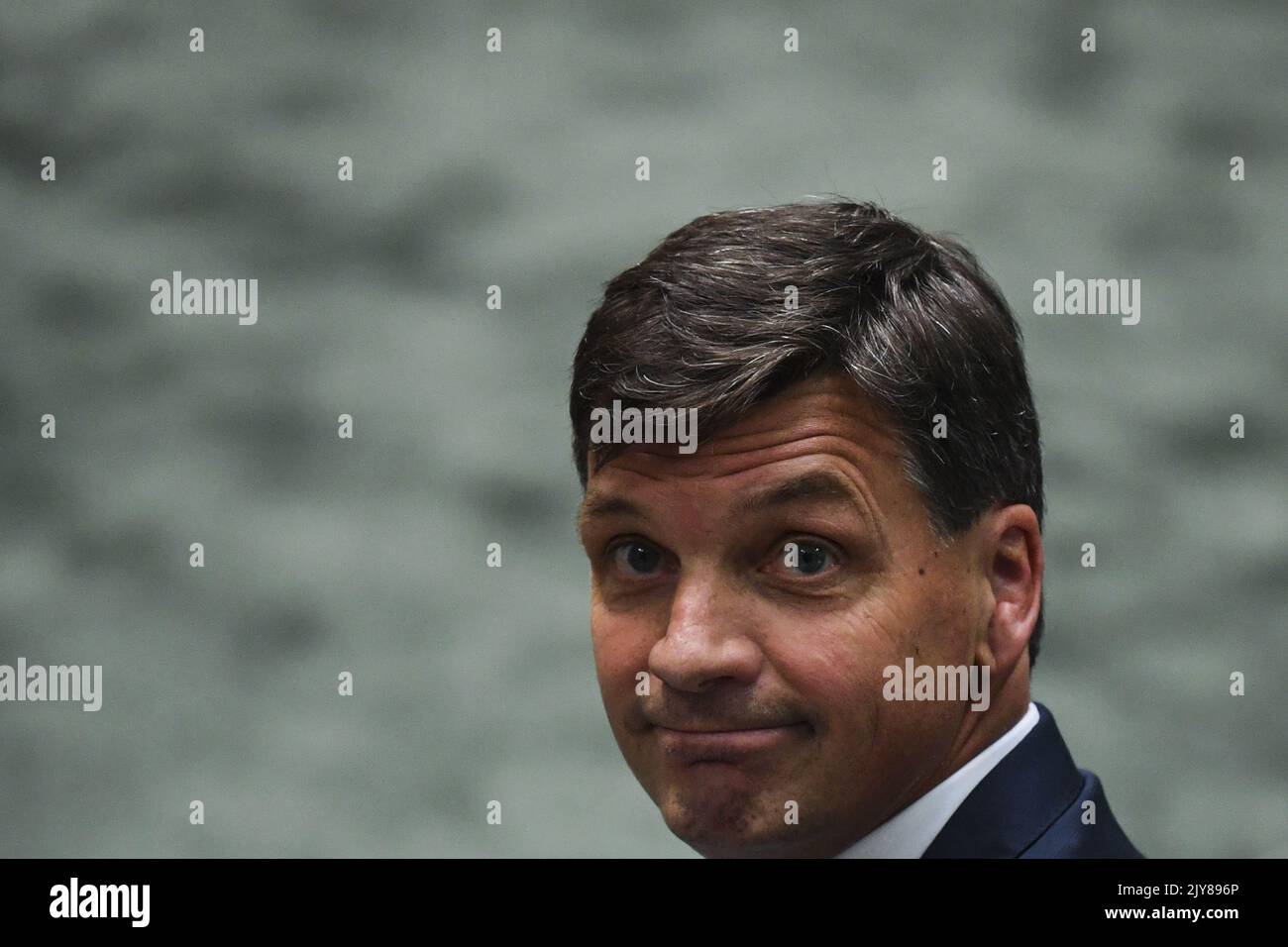 Australian Energy Minister Angus Taylor reacts during House of ...