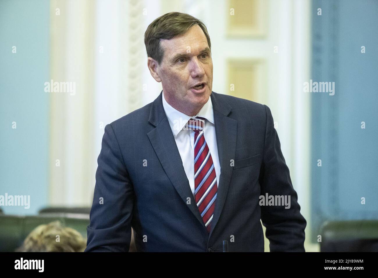 Minister for Natural Resources, Mines and Energy Anthony Lynham speaks ...