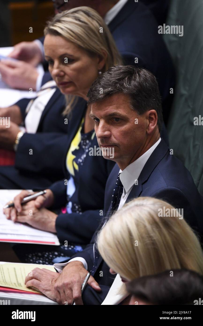 Australian Energy Minister Angus Taylor reacts during House of ...