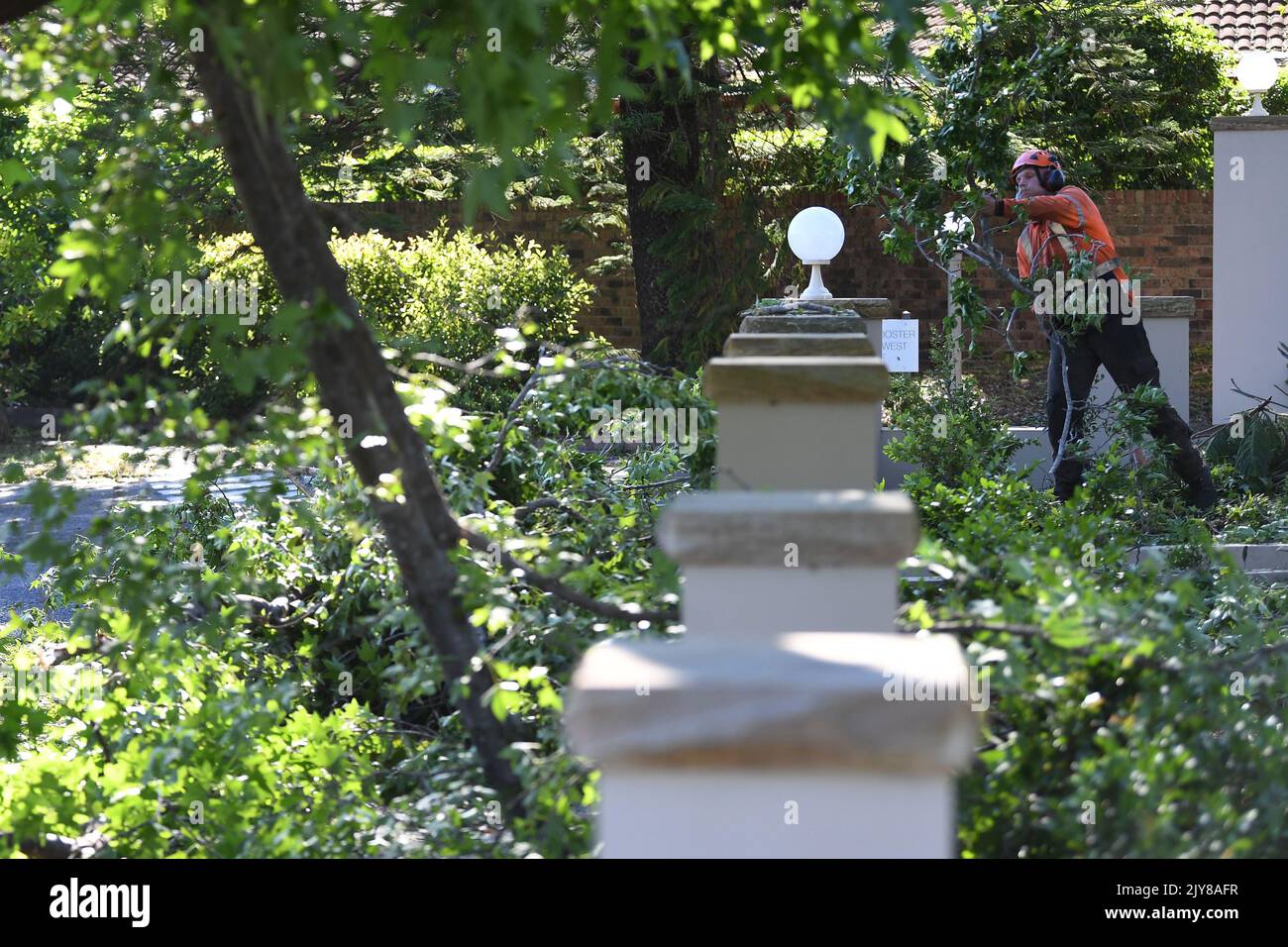 Tree loppers and clean up crews clear debris along Stanhope Road in the ...