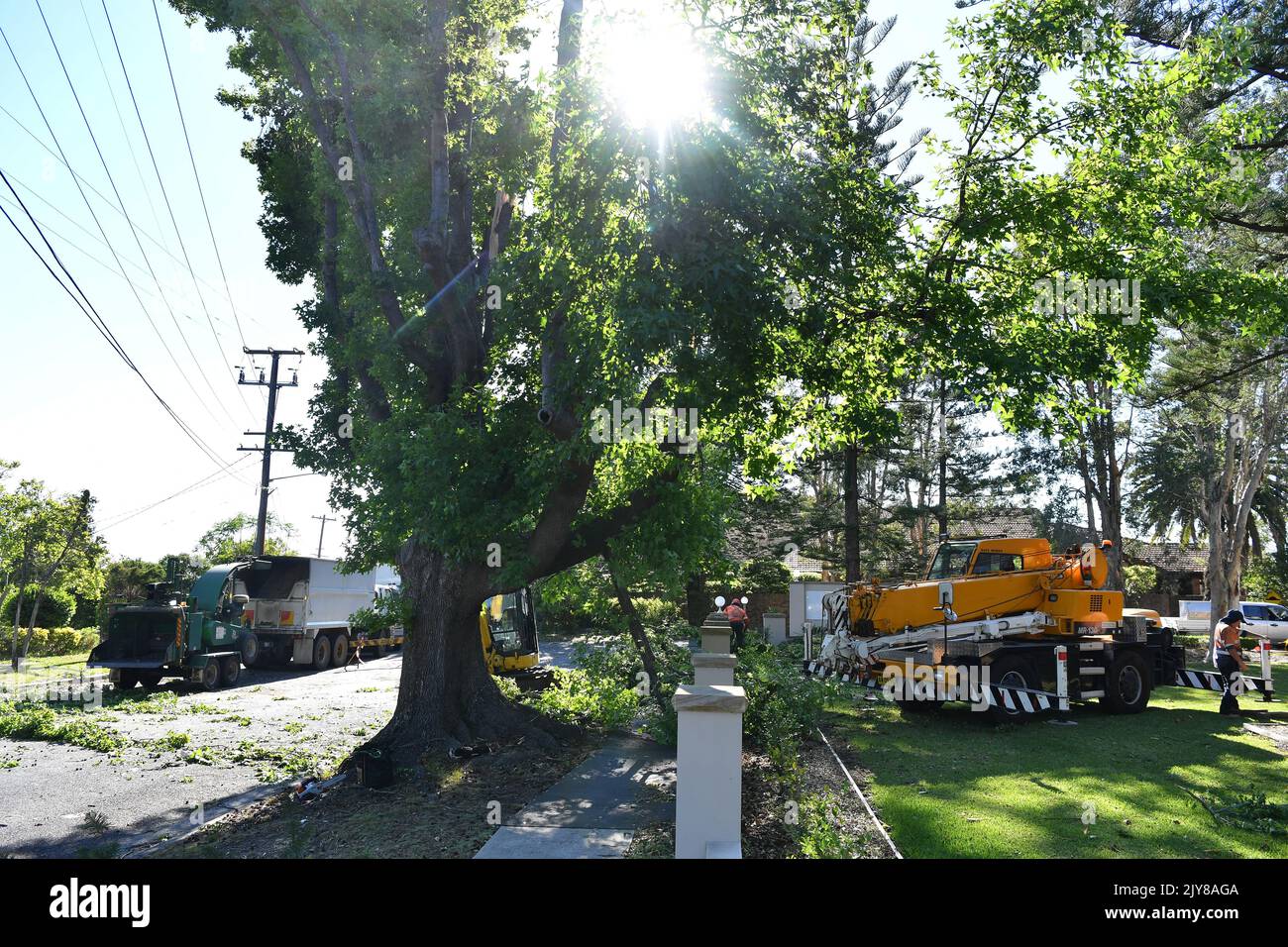 Tree loppers and clean up crews clear debris along Stanhope Road in the ...