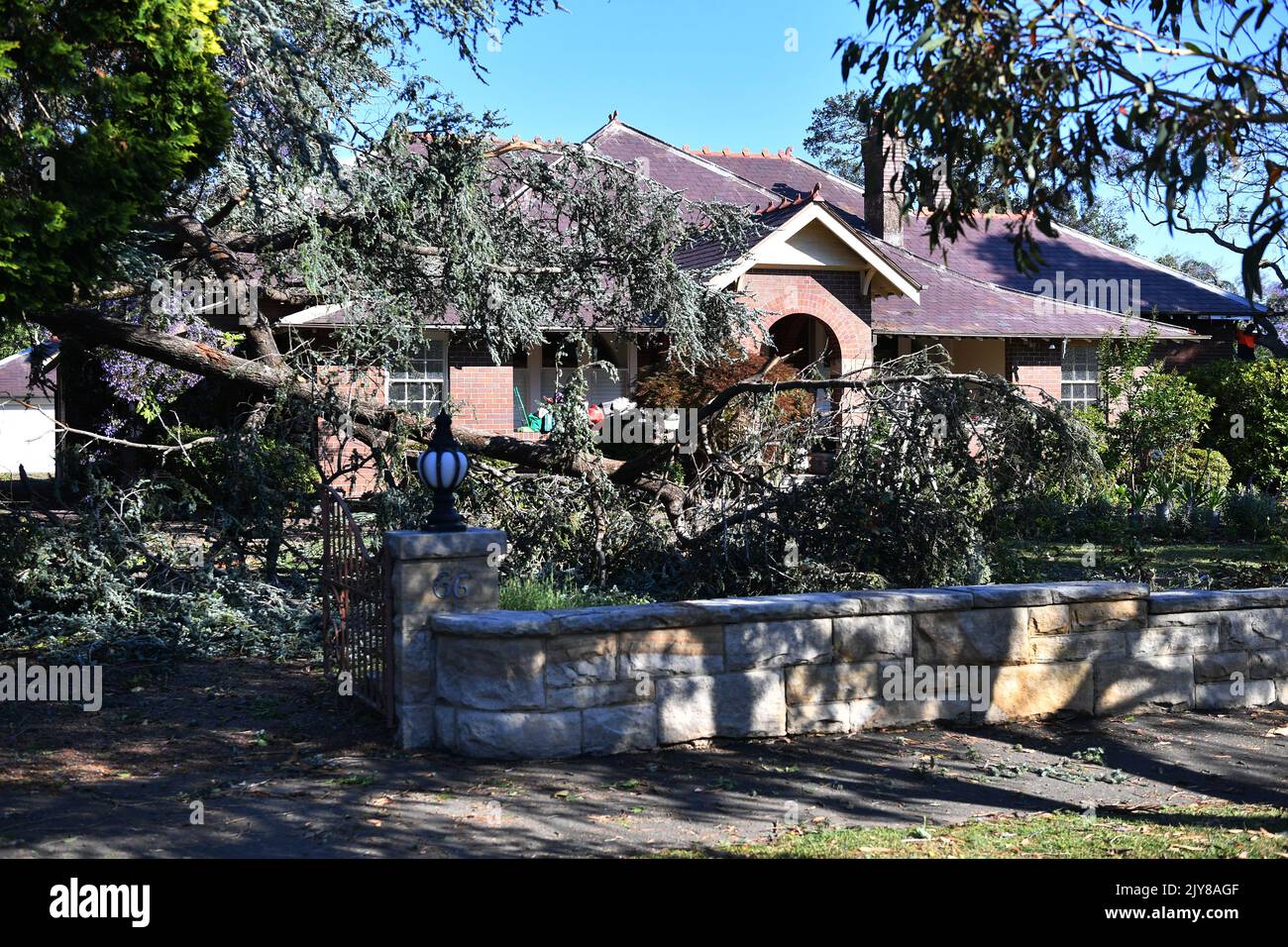 Broken trees, debris and snapped power poles in the suburb of Gordon ...