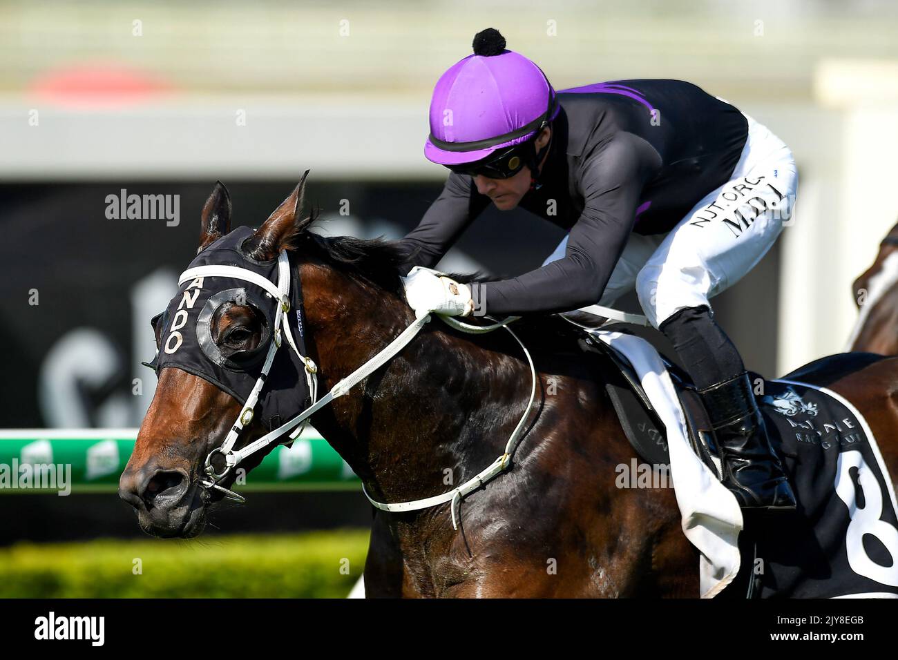 Jockey Mark Du Plessis rides Boomtown Lass to victory in race 5, the ...